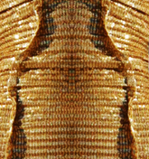 SHOP ALL — Georgia Hardinge